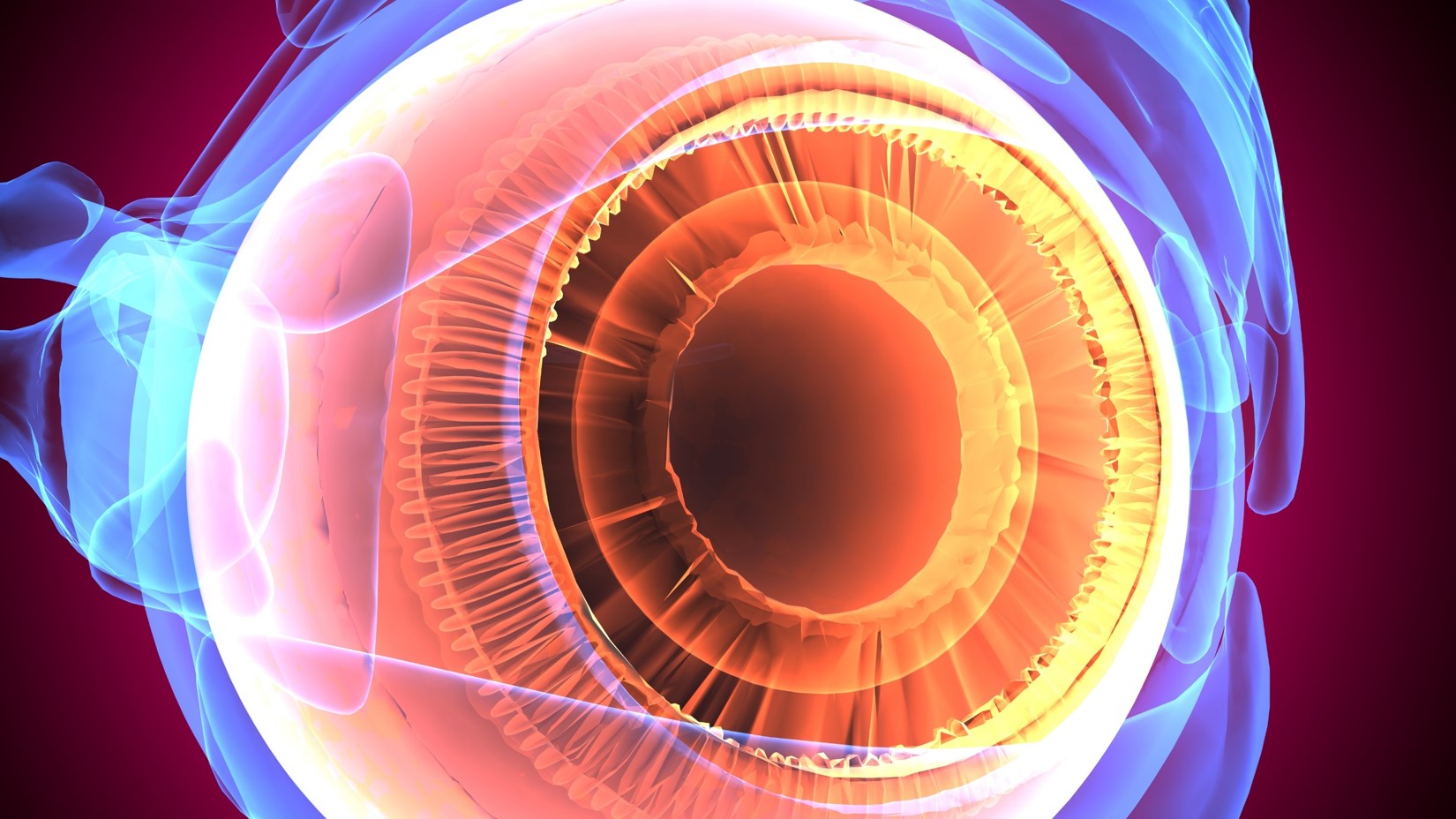 Ophthalmology - Project ECHO Northern Ireland